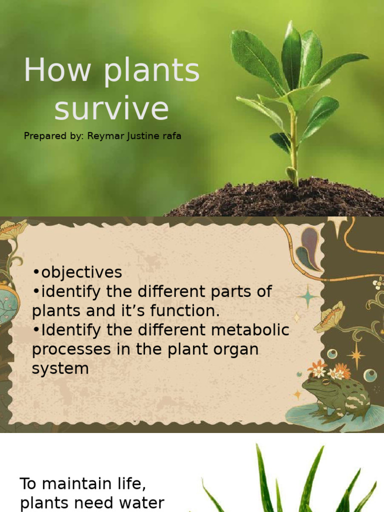 How Plants Survive | PDF | Flowers | Pollination