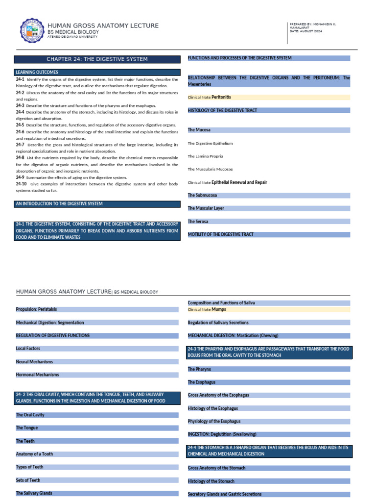Chapter 24 Digestive System Transes | PDF | Digestion | Stomach