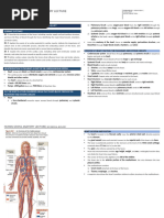Human Heart Structure Overview | PDF