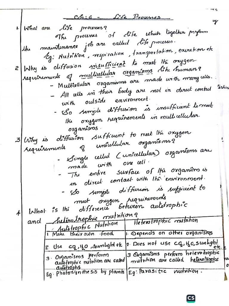 Biology Revision Notes Life Processes | PDF