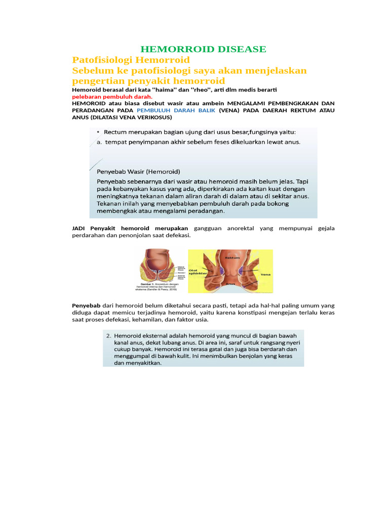 Patofisiologi Hemoroid | PDF