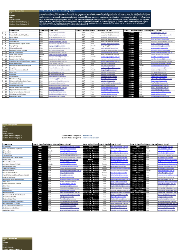 23 08 09 - FINAL VERSION Siba - 360 - Rater Identification Form | PDF