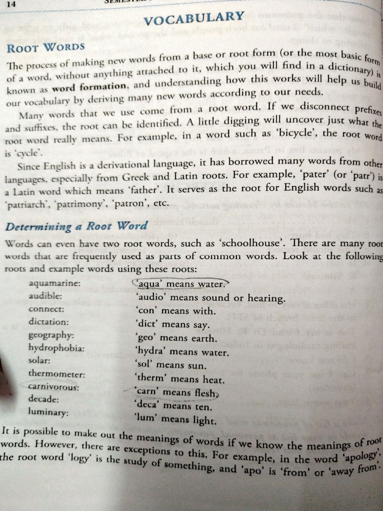 Root Words | PDF | Linguistics | Lexical Semantics