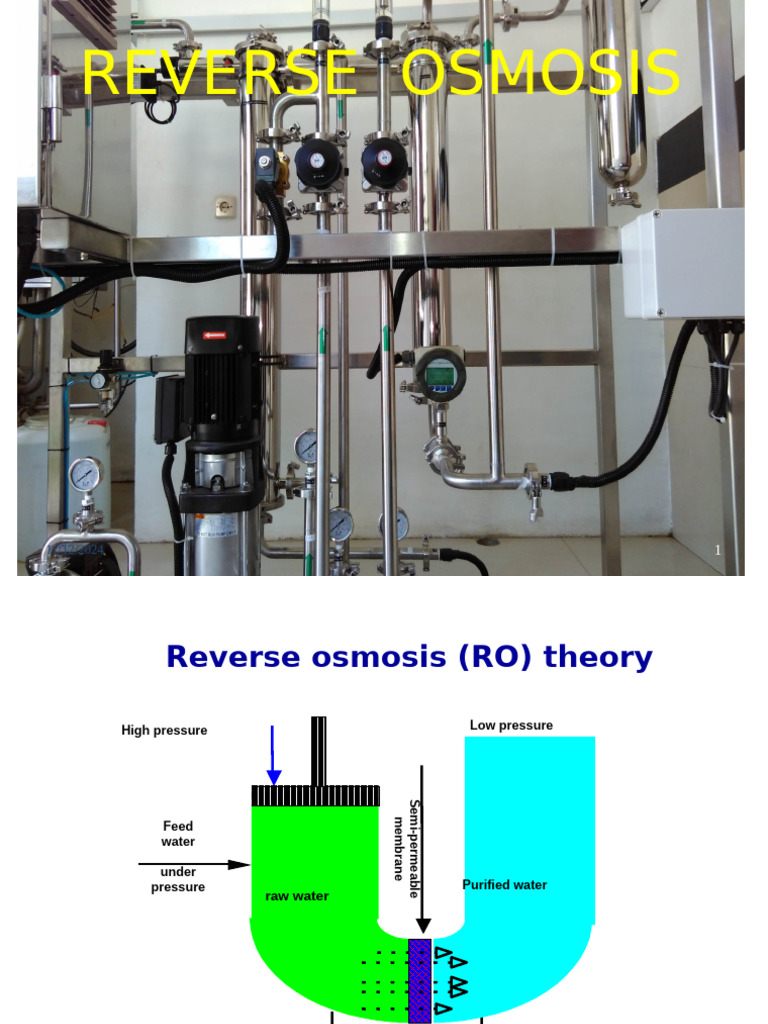 Reverse Osmosis | PDF