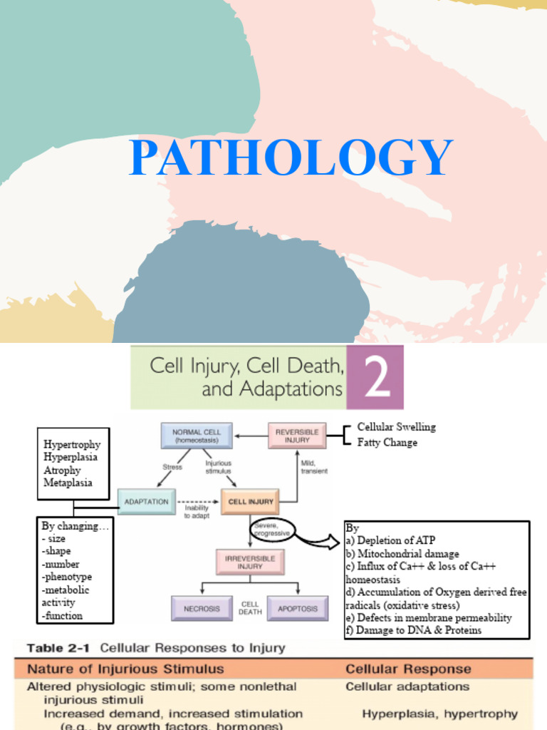 Pathology | PDF | Epithelium | Atrophy