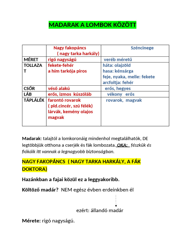 Madarak A Lombok Között | PDF