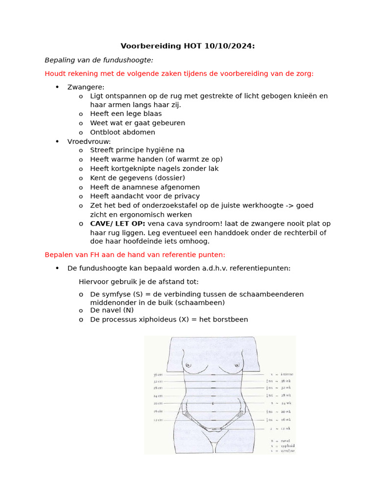 Voorbereiding HOT 10-10-2024 - Bepaling Van de Fundushoogte | PDF