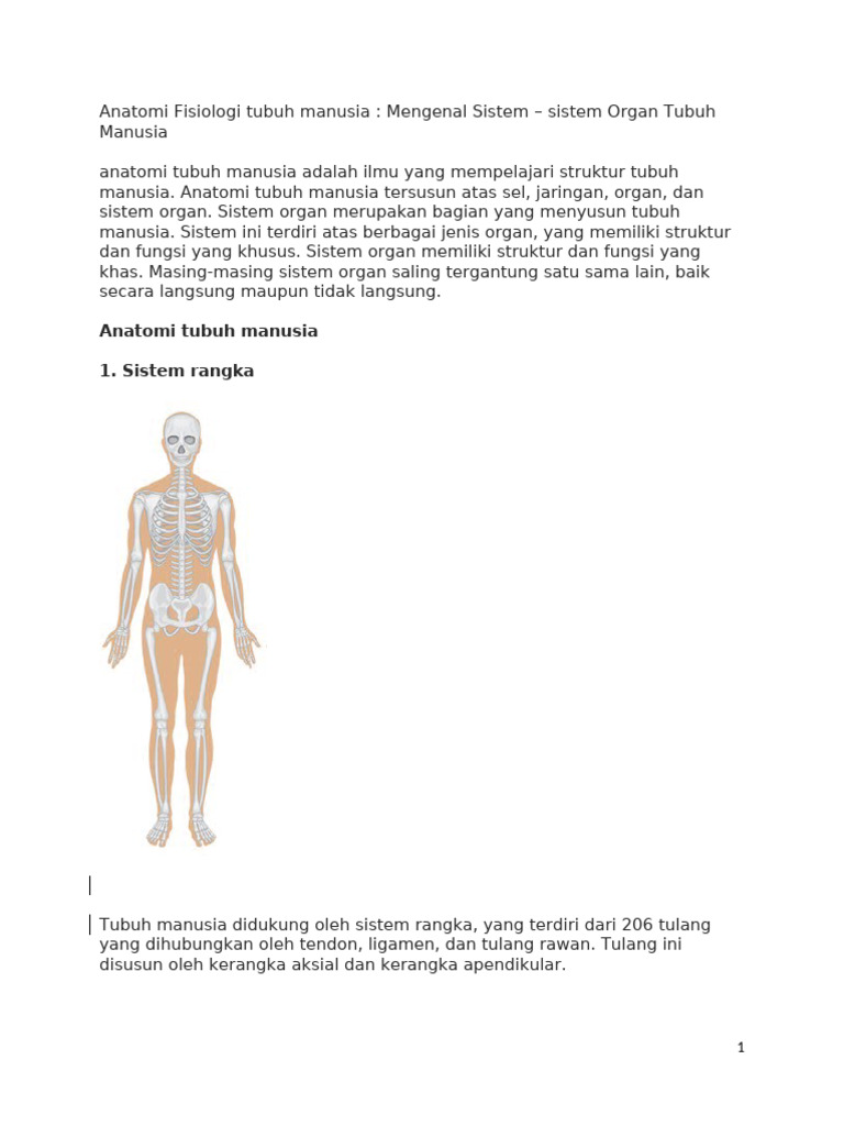 Anatomi Fisiologi Tubuh Manusia | PDF | Sains & Matematika