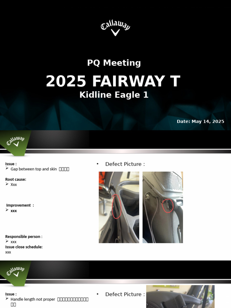 PQ - Meeting - Report - 2025 - Fairway T - KL - Eagle1 | PDF