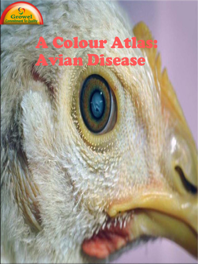 A Colour Atlas Avian Diseases | PDF | Infection | Virus