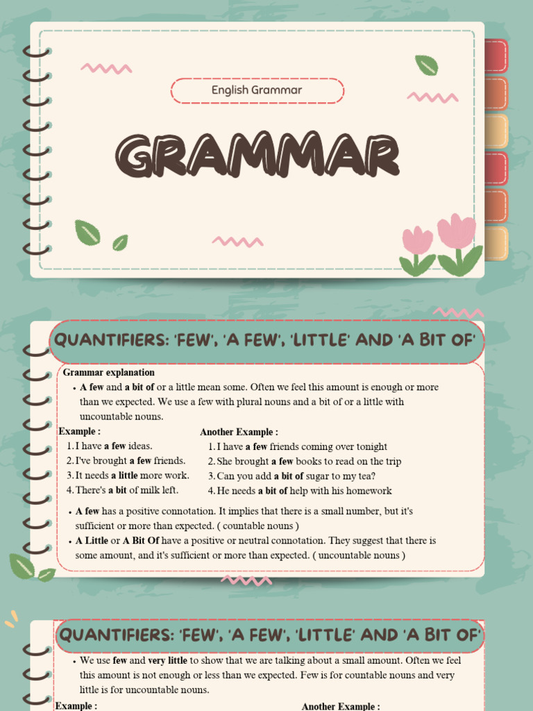 Grammar Quantifiers Few, A Few, Little, and A Bit of | PDF | Noun | Plural