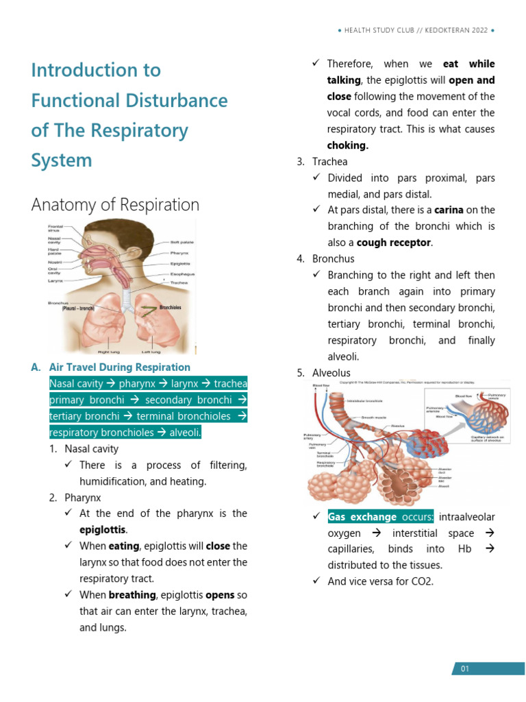 Hsc i.2 - Lecture 22 Iup | PDF | Respiratory Tract | Lung