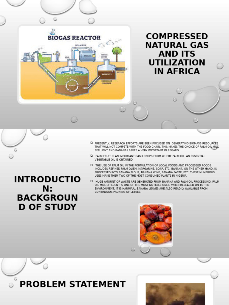 7compressed Natural Gas and Its Utilization in Africa | PDF | Anaerobic ...