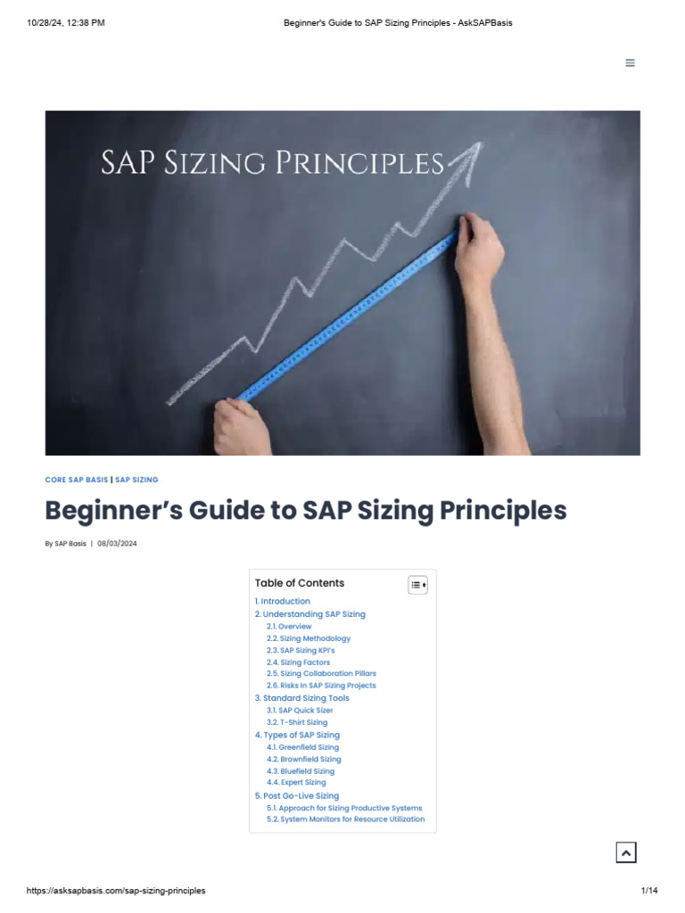 SAP Sizing Principles Explained | PDF | Computer Hardware | Performance ...