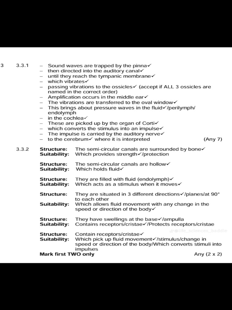 PDF Img2pdf 12nov24 1245 | PDF