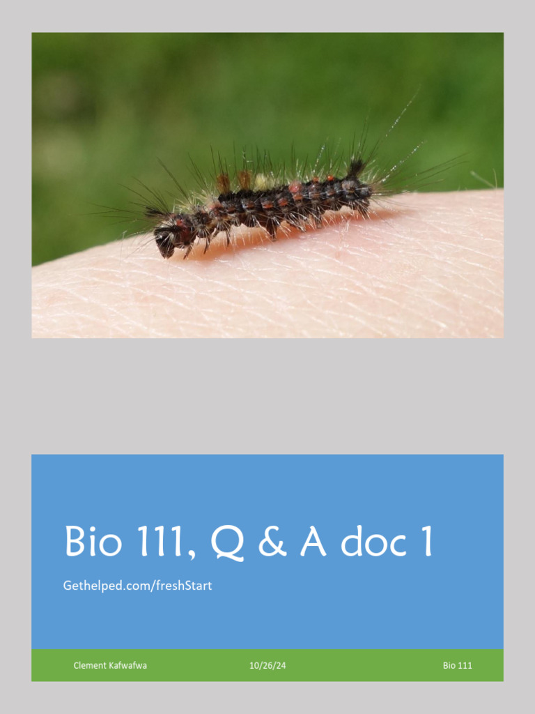 Bio 111 Q&A: Biology Concepts Explained | PDF | Leaf | Biology