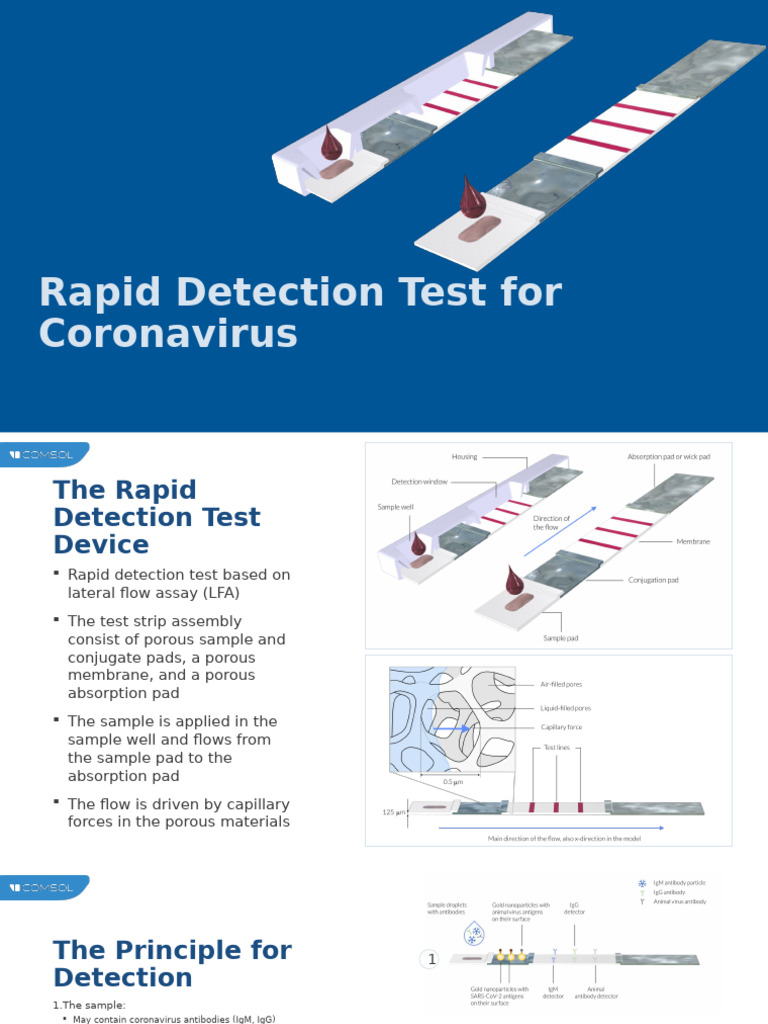 Rapid Detection Test For Corornavirus | PDF | Antibody | Homogeneity ...