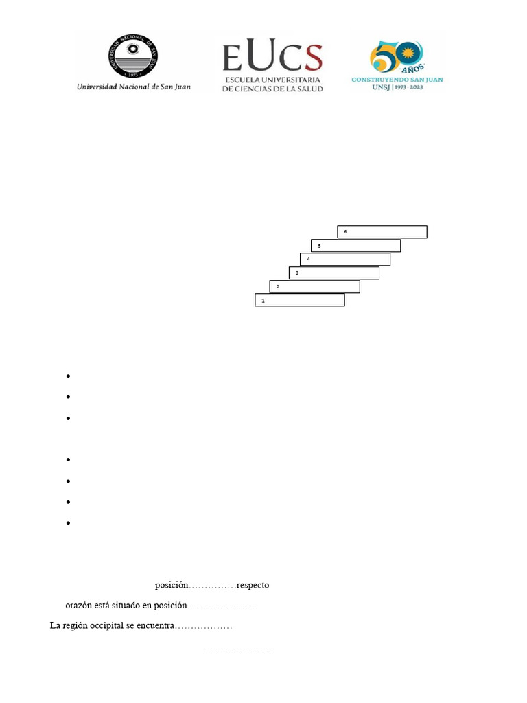 Anexo I Ejercitacion Ingreso 2024 | PDF | Nalgas | Anatomía