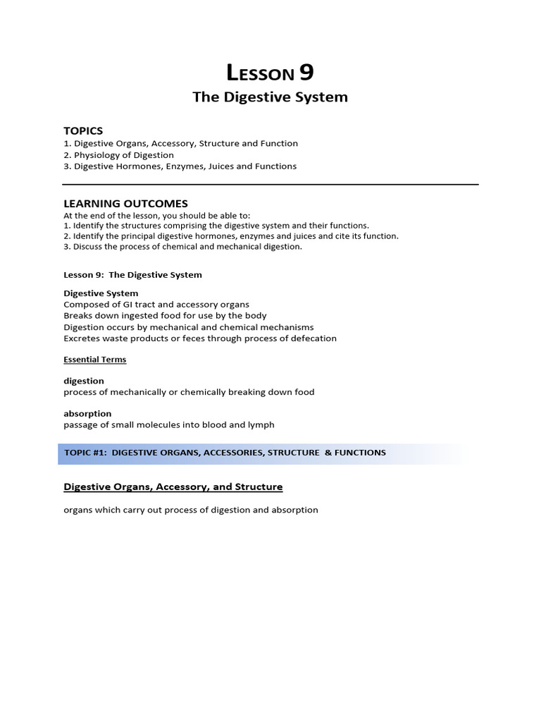 Digestive System Overview and Functions | PDF | Human Digestive System ...