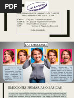6 Emociones Basicas | PDF