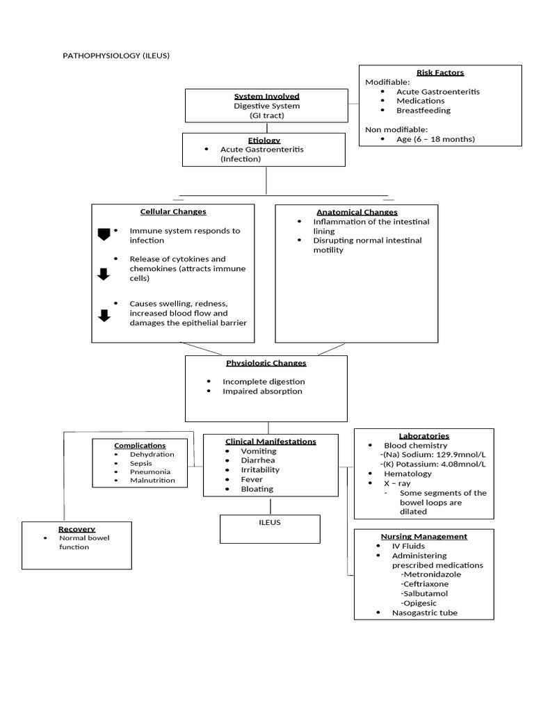 Pediatric Ileus: Causes & Care | PDF | Gastrointestinal Tract | Diarrhea