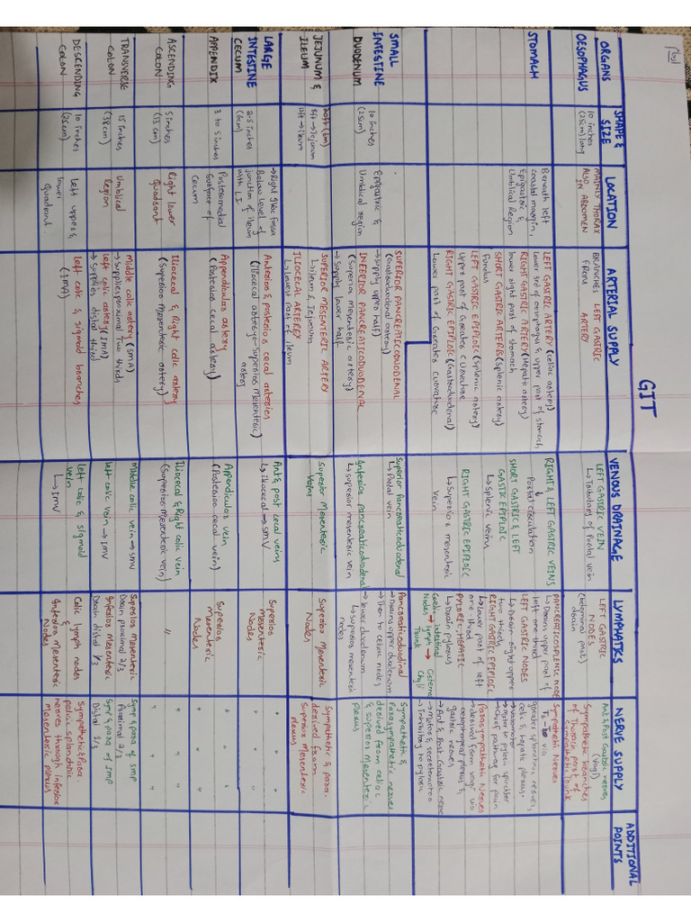 Abdomen and Pelvis Notes From BD+snell by Sheeza Anjum | PDF