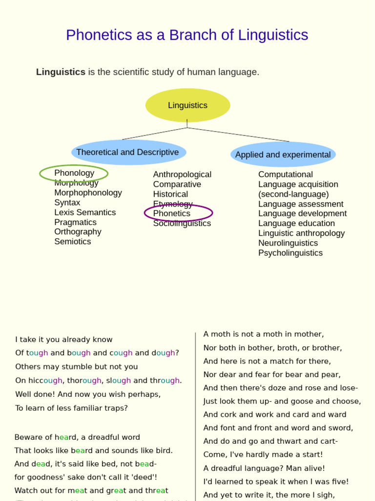 Understanding Phonetics in Linguistics | PDF | Syllable | Phoneme