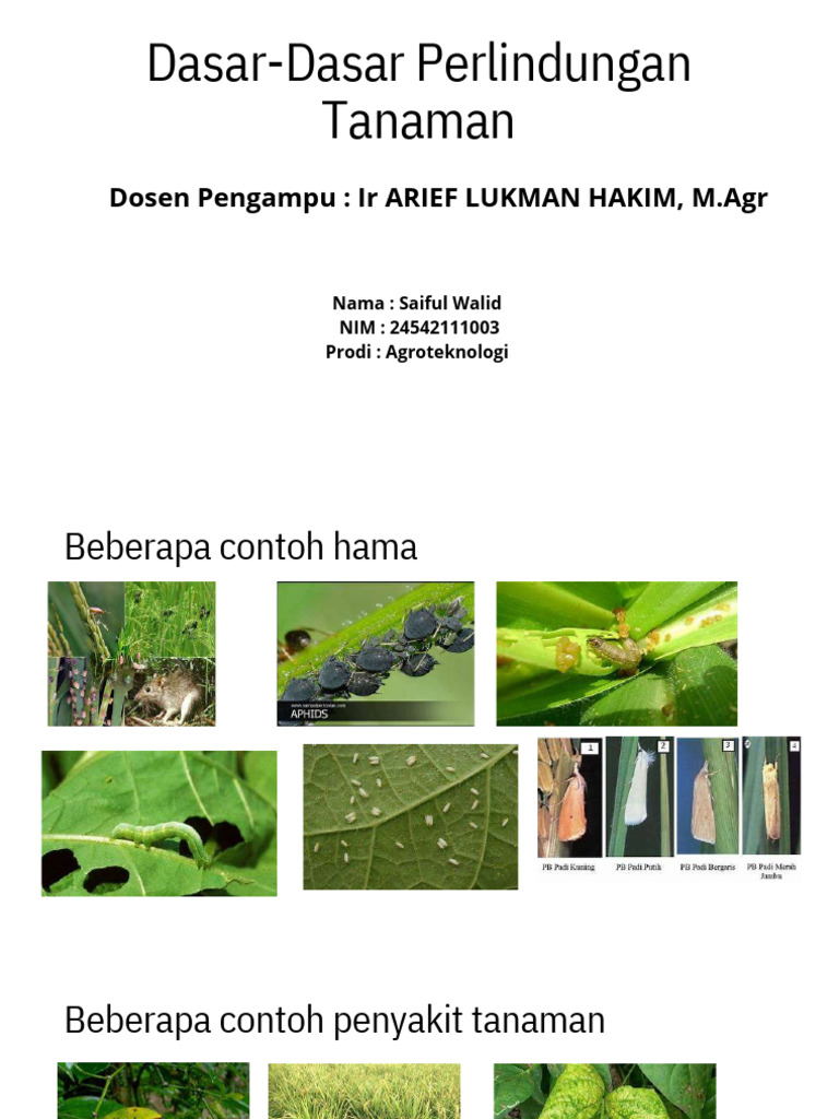 Contoh Hama, Penyakit, Gulma | PDF | Kesehatan Holistik | Sains ...