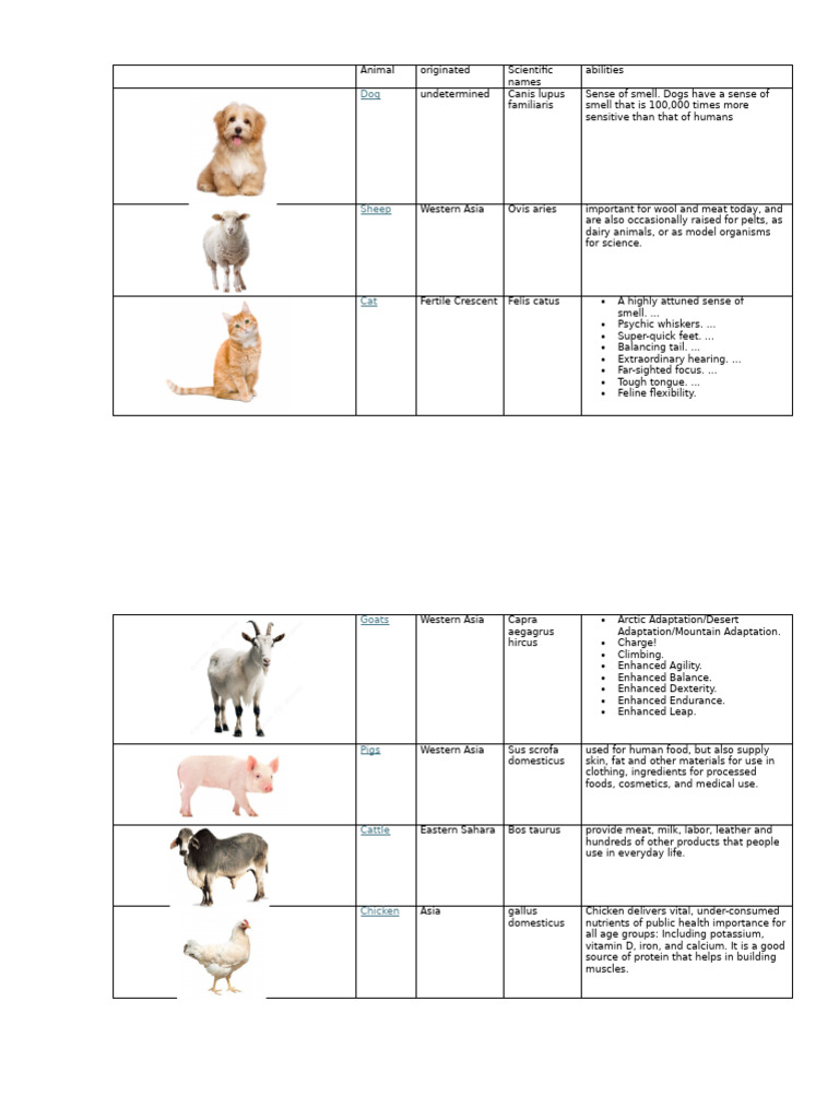 Reviewer Domesticated Animals | PDF | Camel | Cattle