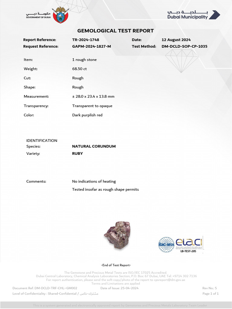 GAPM 2024 1827 MReport | PDF