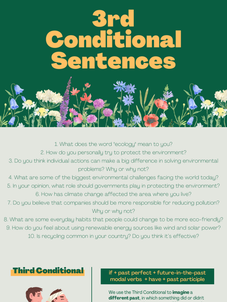 3rd Conditional | PDF