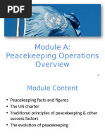 Four Pillars of the United Nations | PDF | Peacekeeping | Human Rights