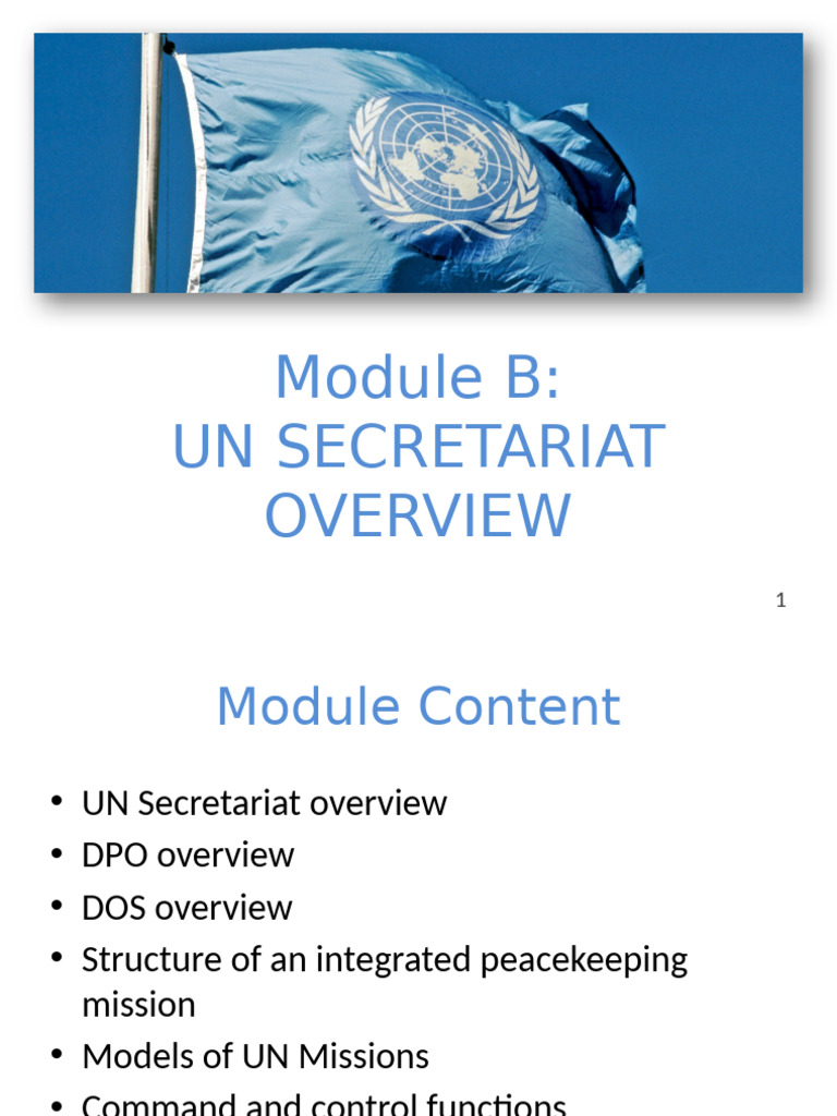 Un NPDP Module B v7.5 | PDF | United Nations | International Relations