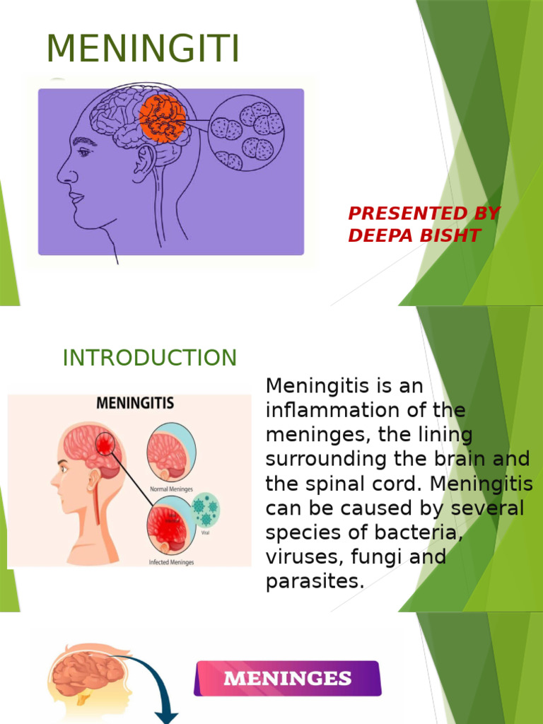 Meningiti S: Presented by Deepa Bisht | PDF | Meningitis | Health Sciences