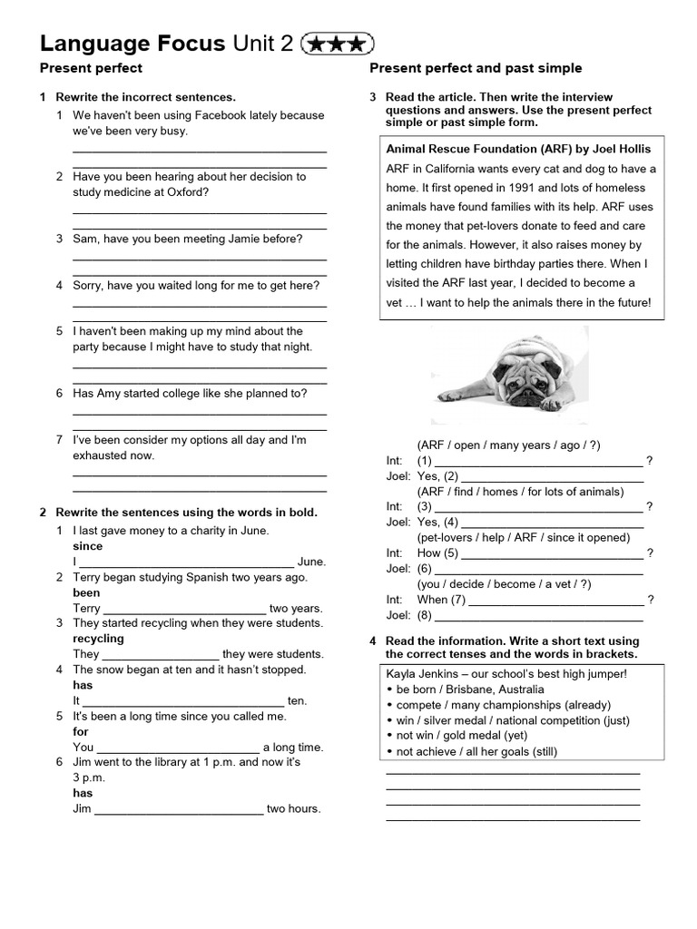 Present Perfect Grammar Exercises | PDF | Linguistics