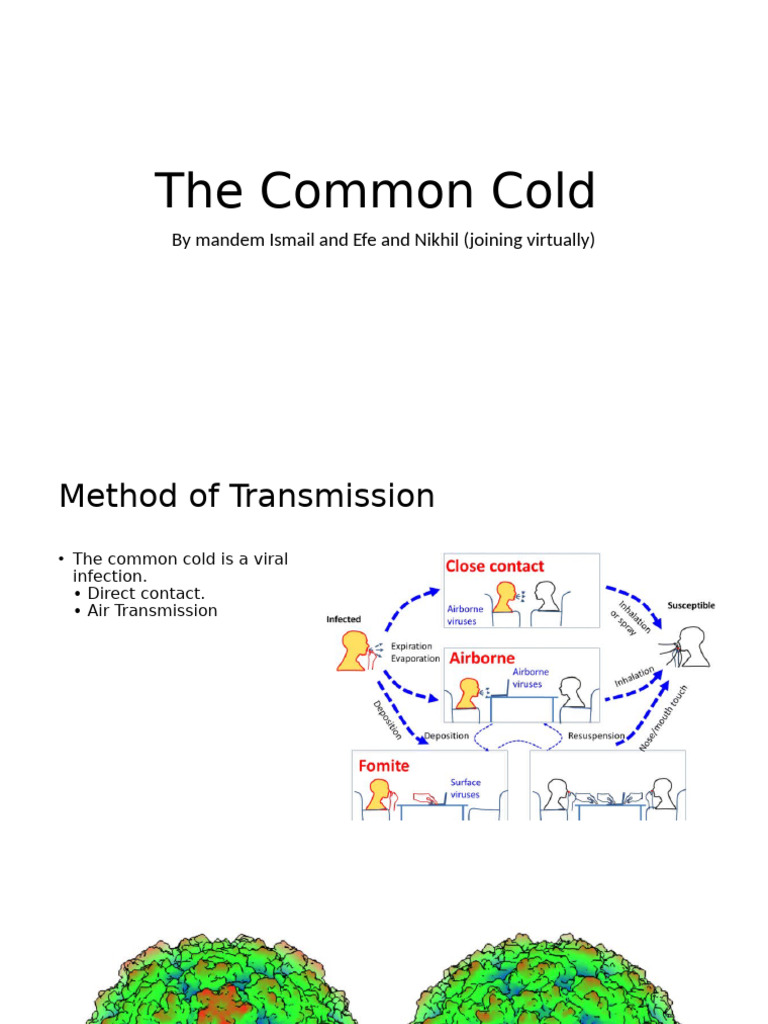 Common Cold | PDF