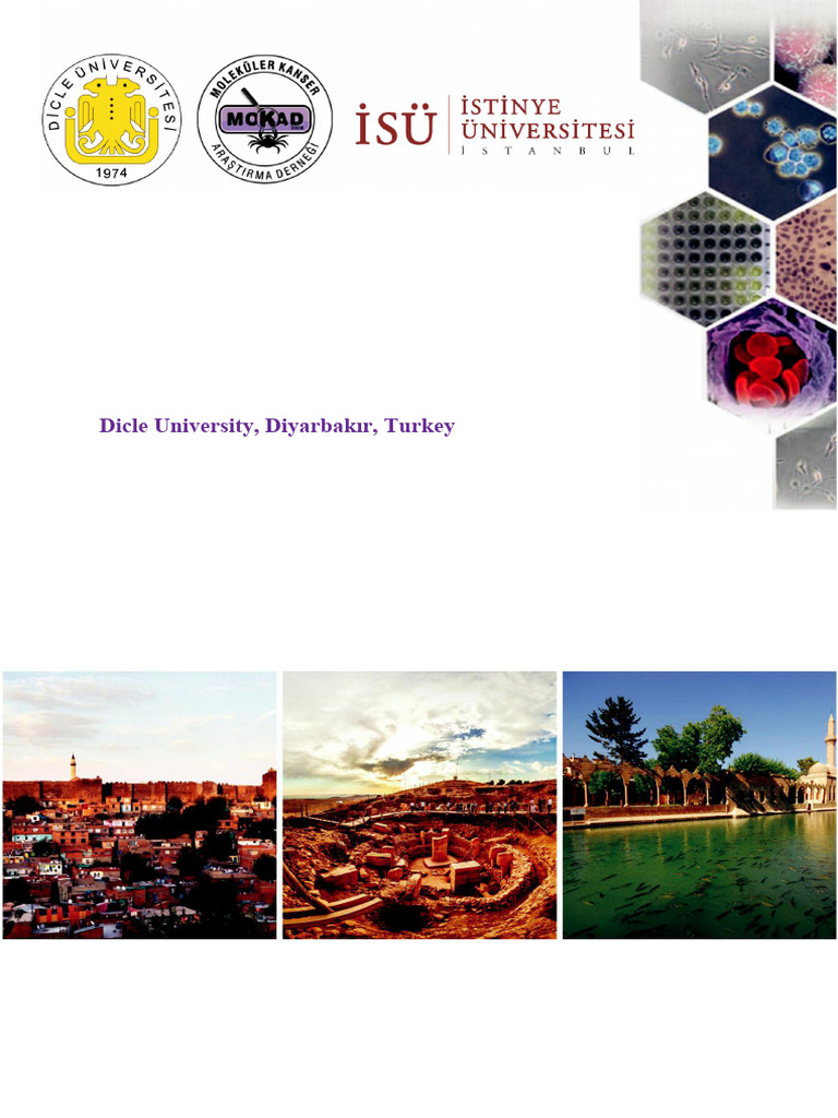 MOKAD 2019 Kongre Kitapçığı | PDF | Pancreatic Cancer | Oncogene