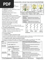 Le Carpelle : Organe des Angiospermes | PDF | Fruit | Embryon