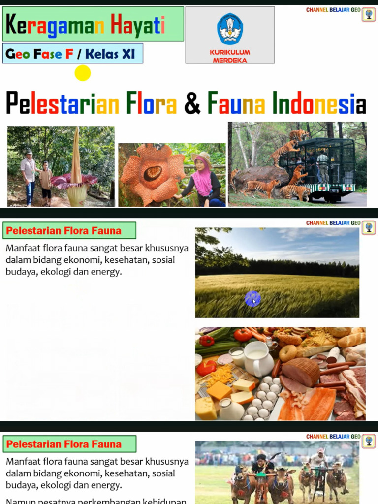 Konservasi Flora Fauna Indonesia | PDF