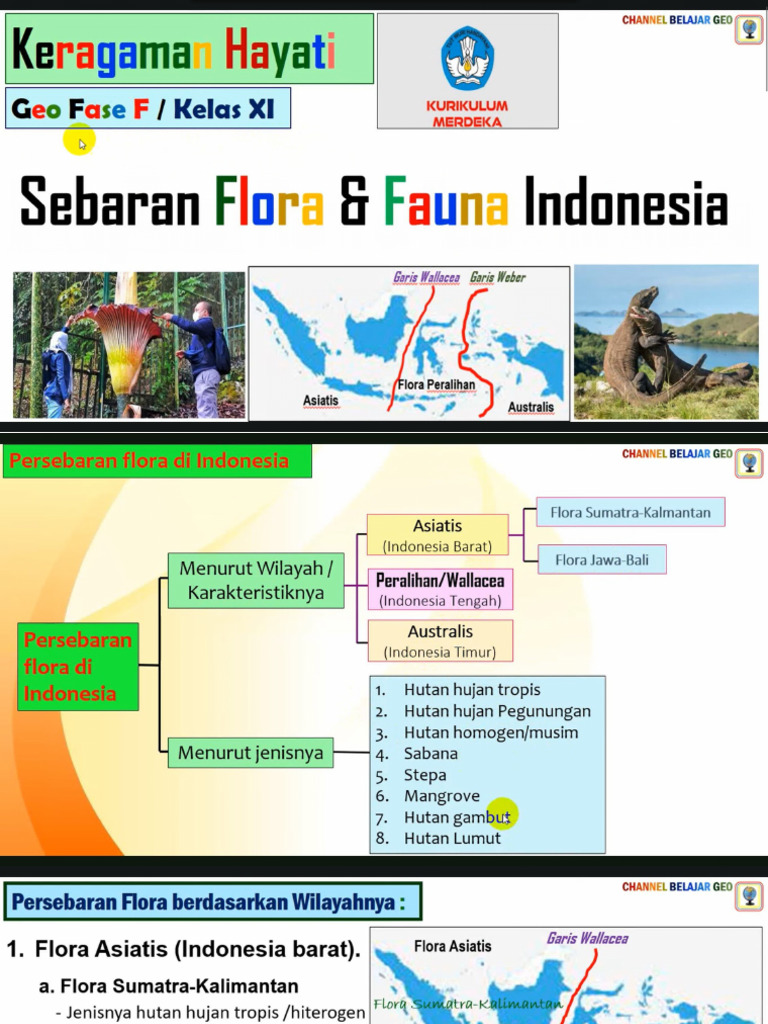 Sebaran Flora Fauna Indonesia | PDF