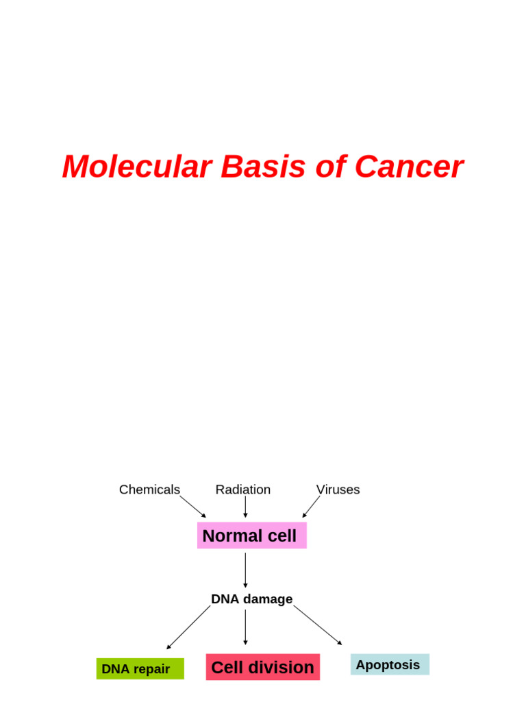 Molecular Basis of Neoplasia New | PDF | Oncogene | Tumor Suppressor Gene