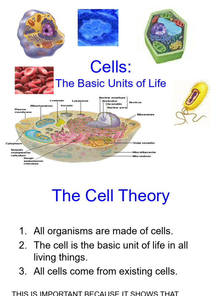 Parts of the Cells | PDF | Cell (Biology) | Organelle