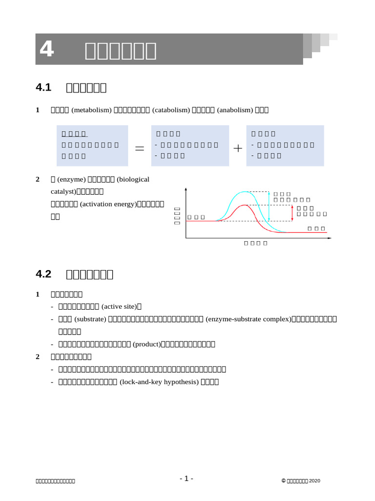 Rev Notes ch04 C | PDF