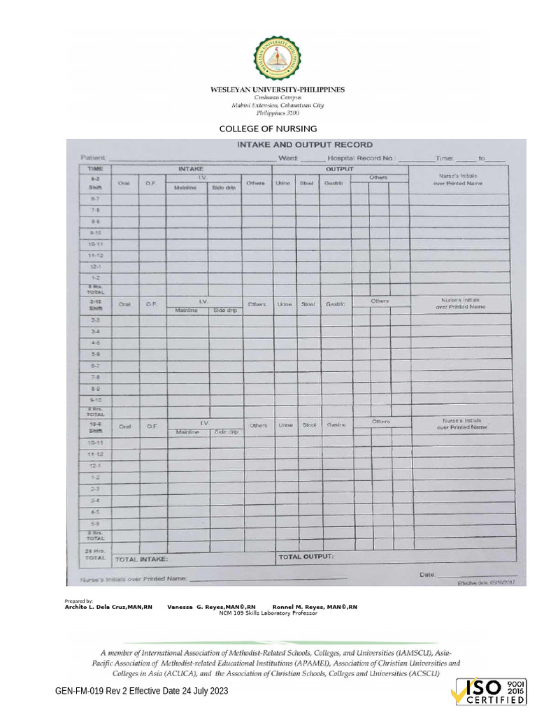 I & O Monitoring Sheet | PDF