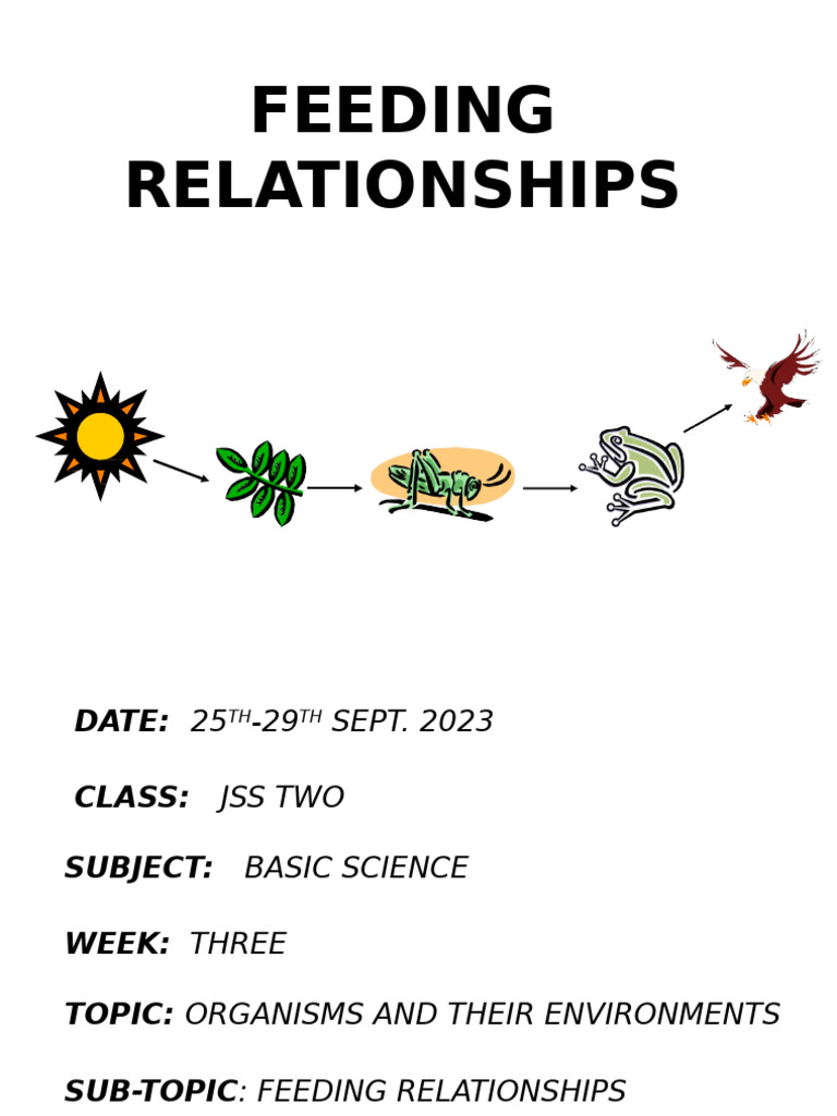 Week 3 B.science Jss 2 Feeding Relationship | PDF | Food Web | Foods