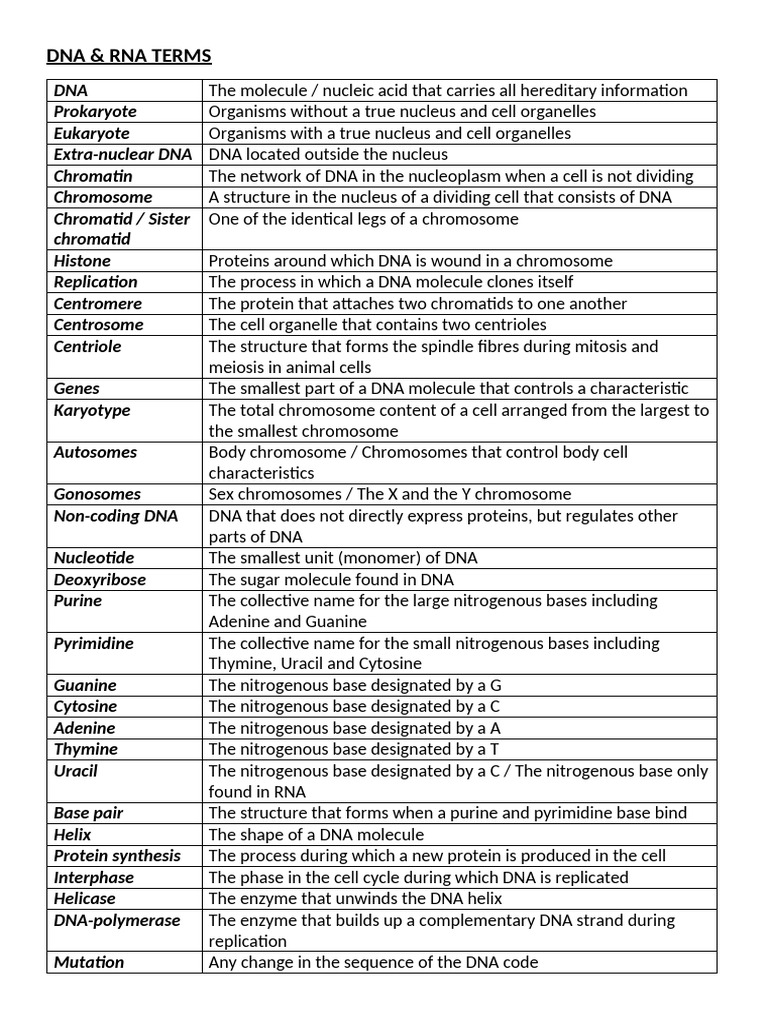 1dna Terms Eng | PDF | Dna | Translation (Biology)