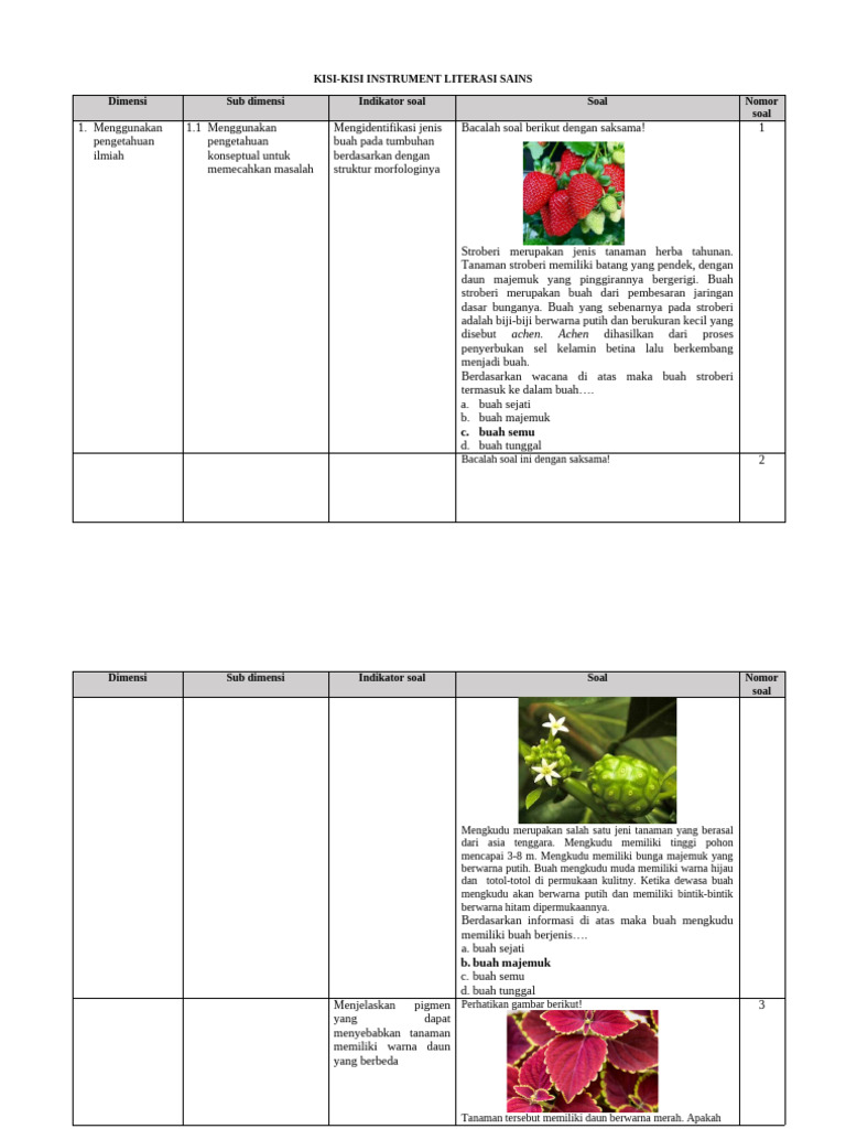 Kisi-Kisi & Soal Literasi Sains | PDF | Sains & Matematika