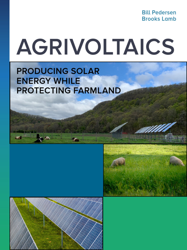 Cbey Reports Agrivoltaics Final | PDF | Solar Power | Agriculture
