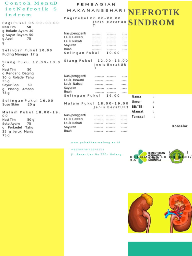 LEAFLEAT NEFROTIK SINDROM Baru | PDF