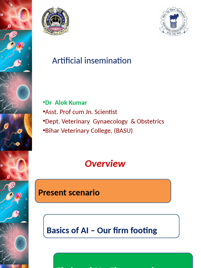 Artificial Insemination | PDF | Vagina | Rectum